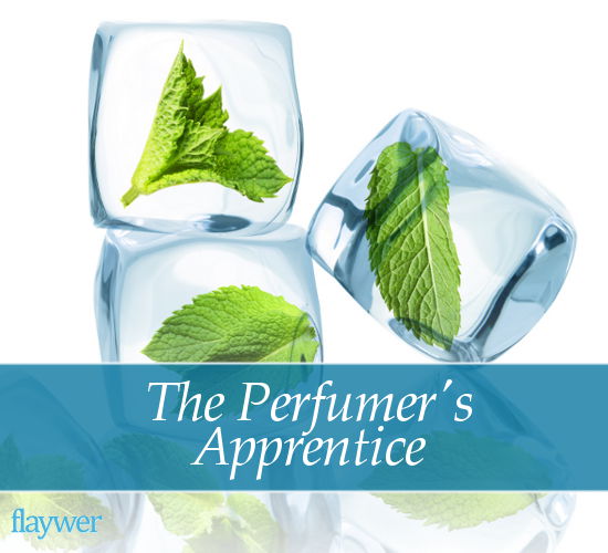 Menthol Liquid (PG) | Aroma von TPA (Perfumer's Apprentice)