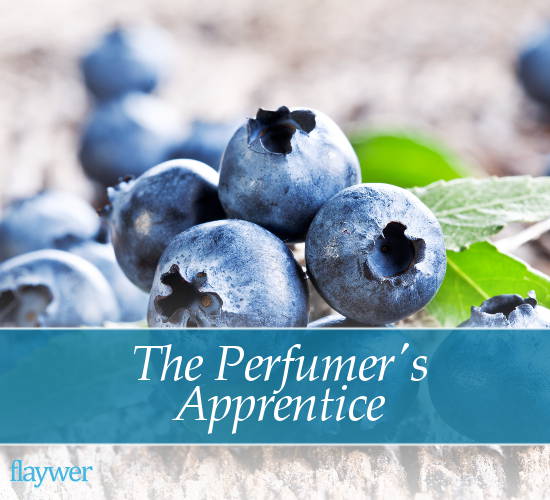 Blueberry (Wild) | Aroma von TPA (Perfumer's Apprentice)