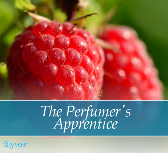 Boysenberry | Aroma von TPA (Perfumer's Apprentice)